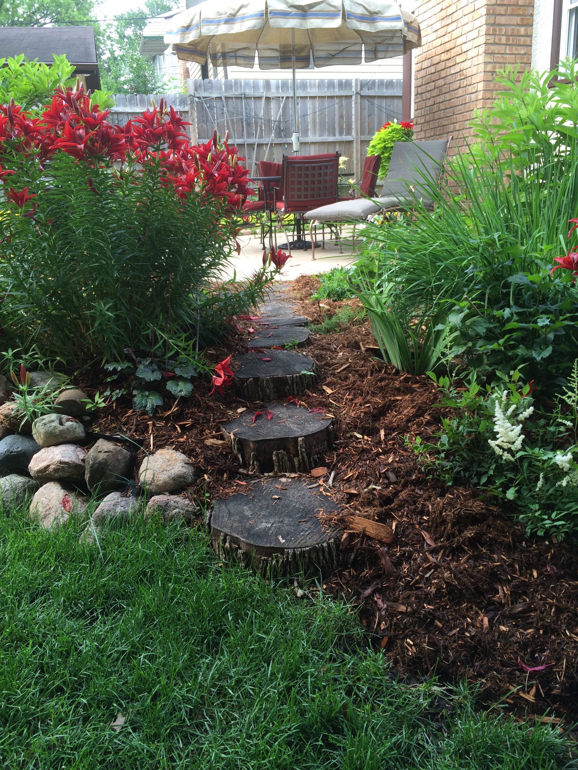 IMG_6059 | Xylem Designs